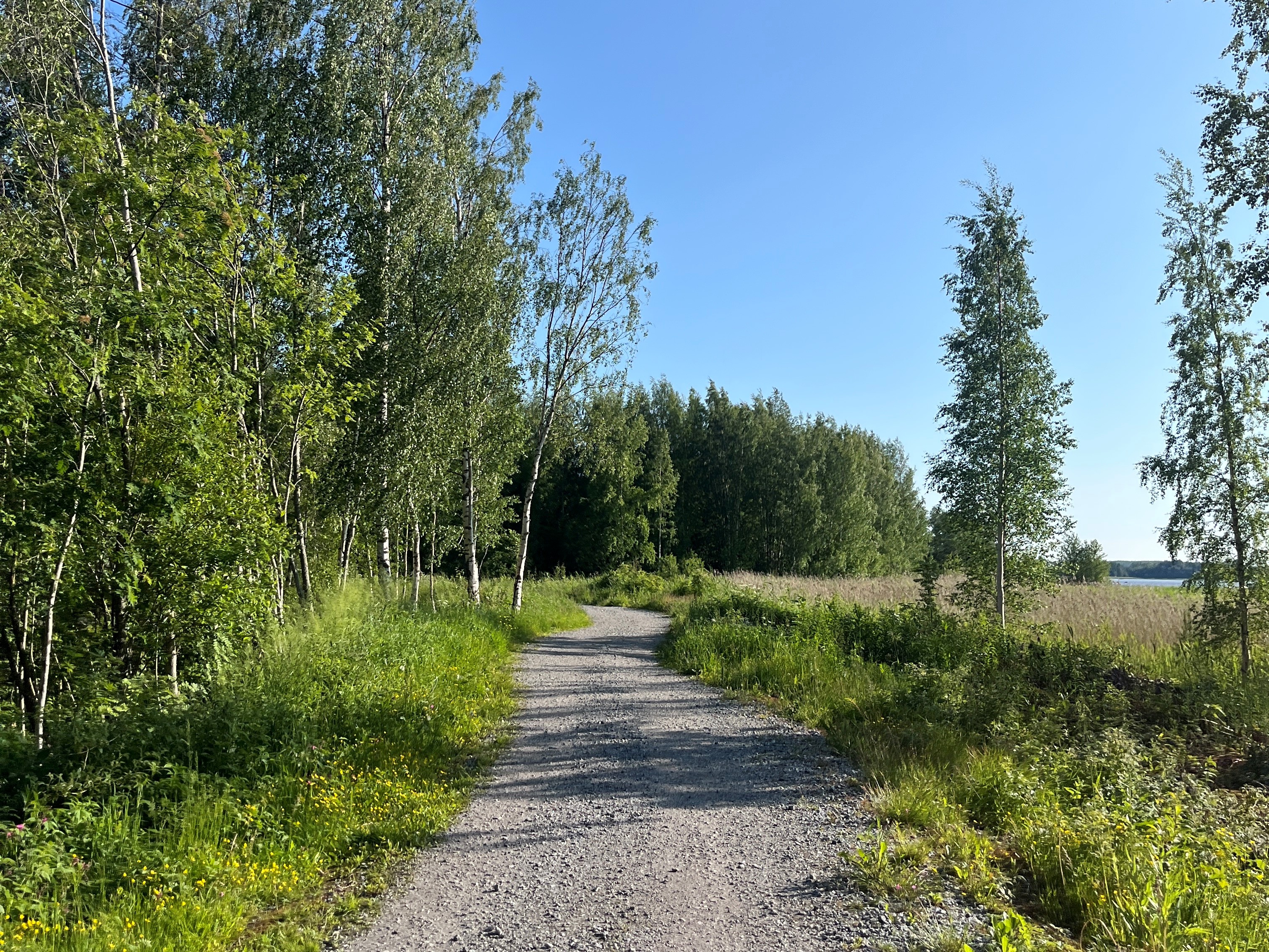 Vaasa's beautiful shores - Bikeland