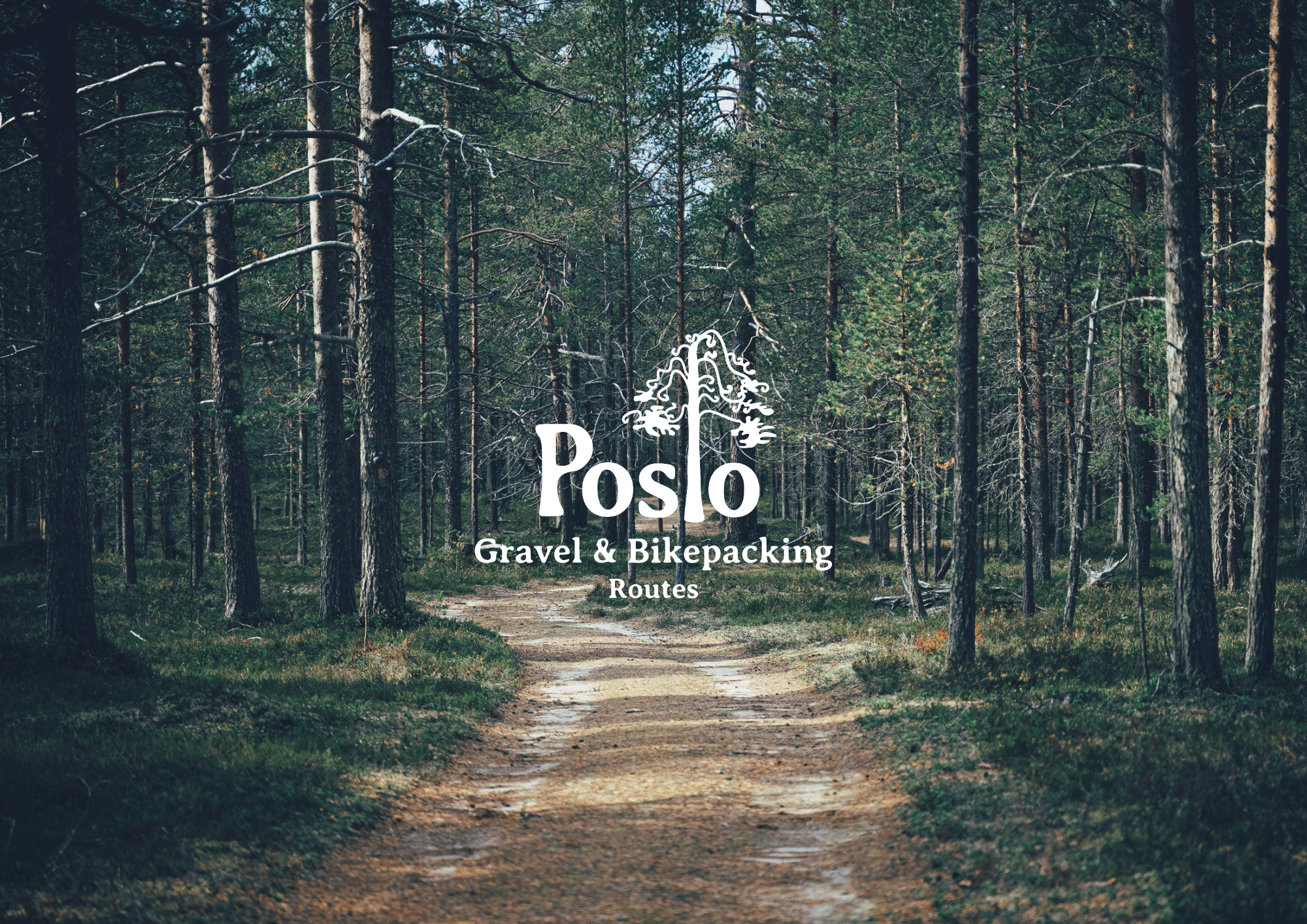 Posio Gravel & Bikepacking - Bikeland